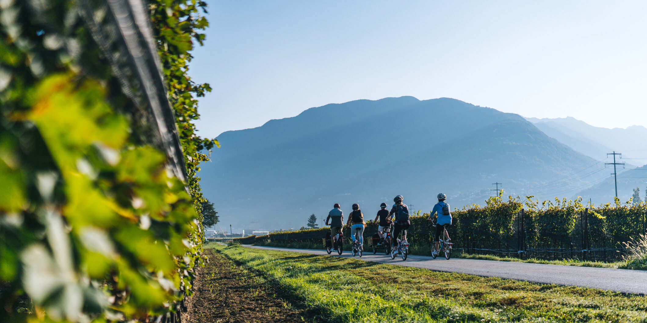 Cycling’s Proven Environmental Benefits - RotoStand